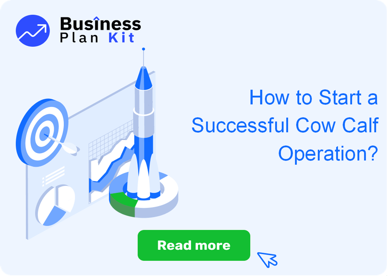 How to Start a Successful Cow Calf Operation? – Businessplankit.com